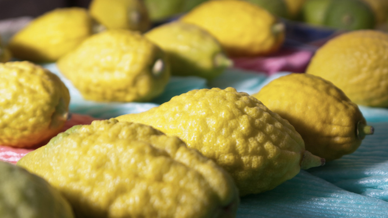 Orange You Glad It's Dinnertime? 12 Ways To Cook With Sweet Winter ...