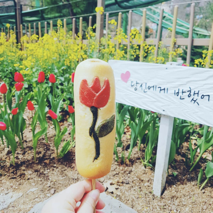 Check Out The Tulip Food At South Korea's Everland!