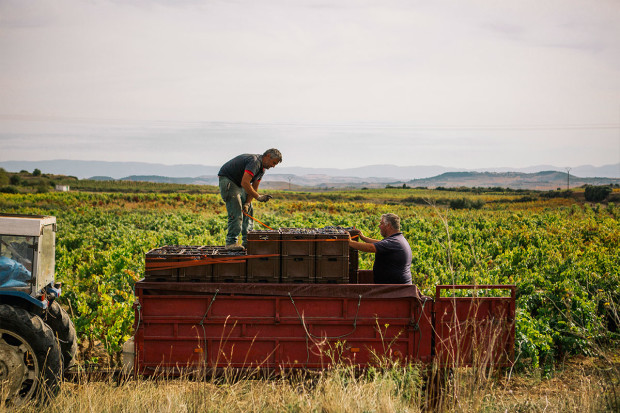 Everything You Need To Know About Spain’s Rueda Region