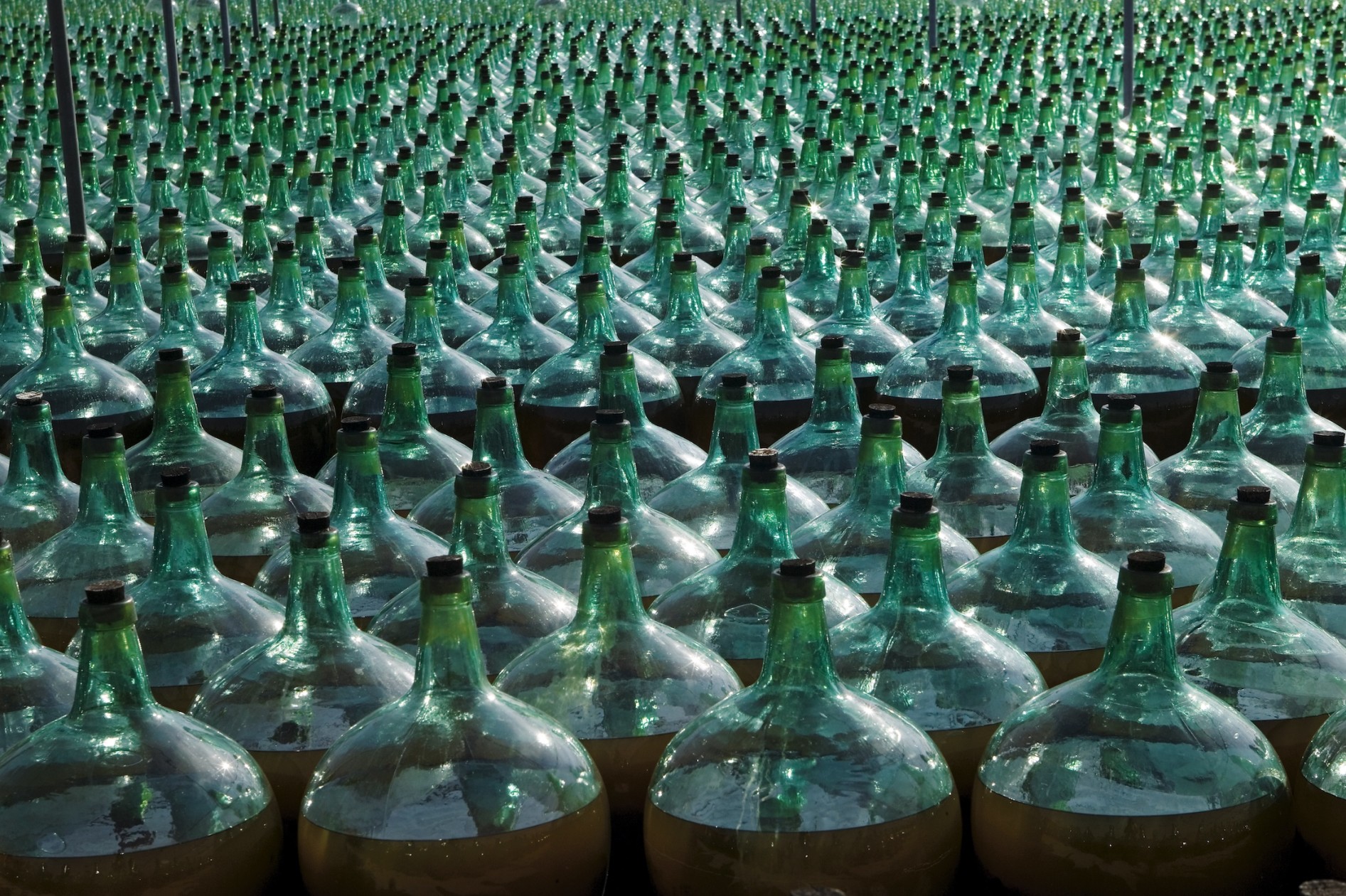 Everything You Need To Know About Spain’s Rueda Region